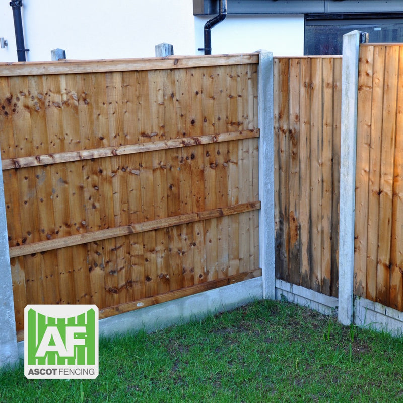 Ascot Fencing: Expert Fencing & Landscaping Services